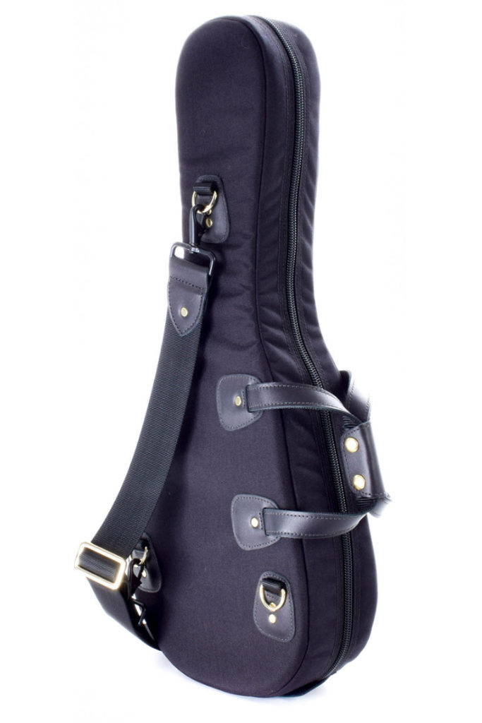 Larry Fisher Harp Bag - Glenn Cronkhite Custom Cases